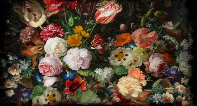 TAPPETO EDEN QUEEN MOOOI PREZZO MIGLIORE